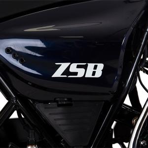 Lexmoto | ZSB 125 EFI | SK125-8-E4 | Lexmoto Motorcycles | 125cc ...